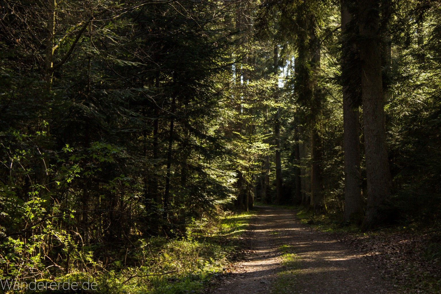 Wasser- Wald- und Wiesenpfad Calw wandern - Wandererde